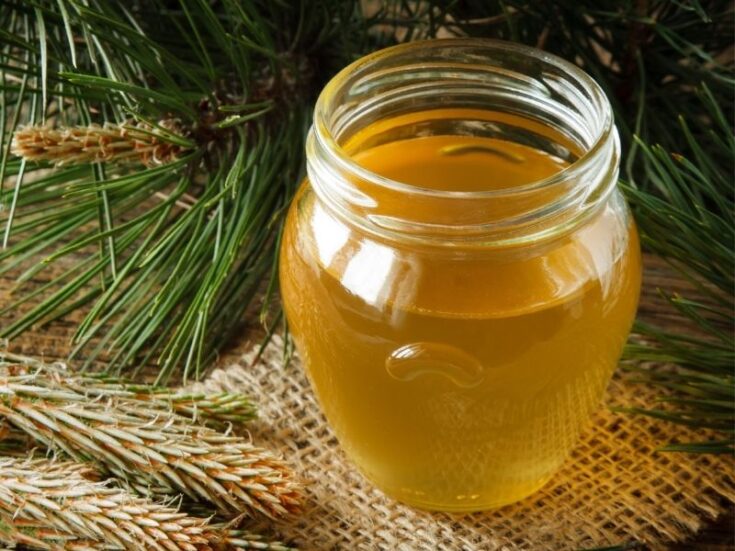 How to Make A Simple Sugar Syrup - Kopiaste..to Greek Hospitality