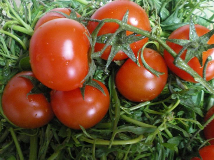 Peeling Tomatoes made Easy Peasy - Kopiaste..to Greek Hospitality
