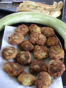 Revithokeftedes and my cat Lisa - Kopiaste..to Greek Hospitality