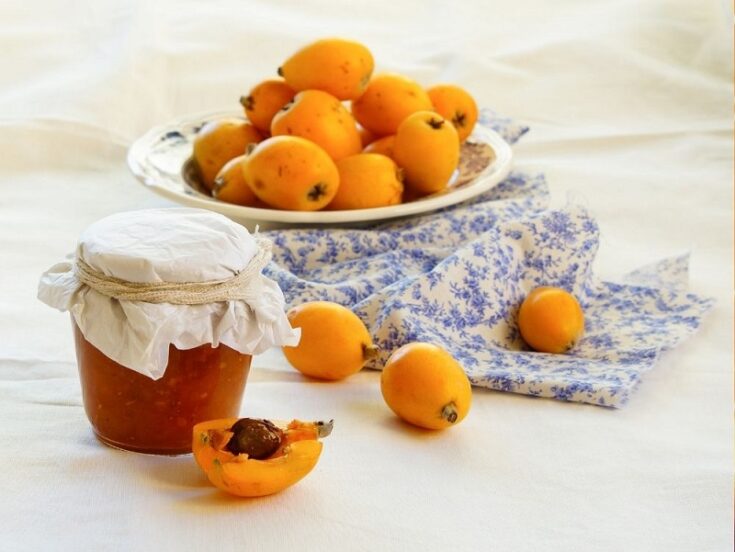 Fragrant Loquat Jam - Kopiaste..to Greek Hospitality